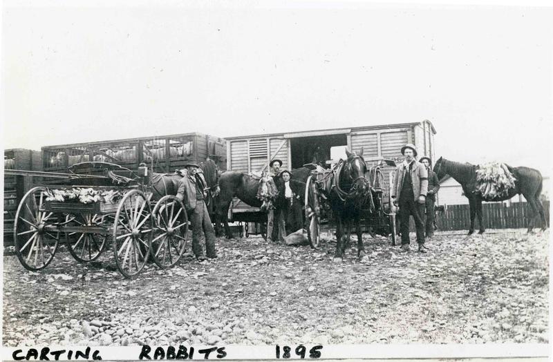 Rabbit carts at Kurow railway. - Culture Waitaki