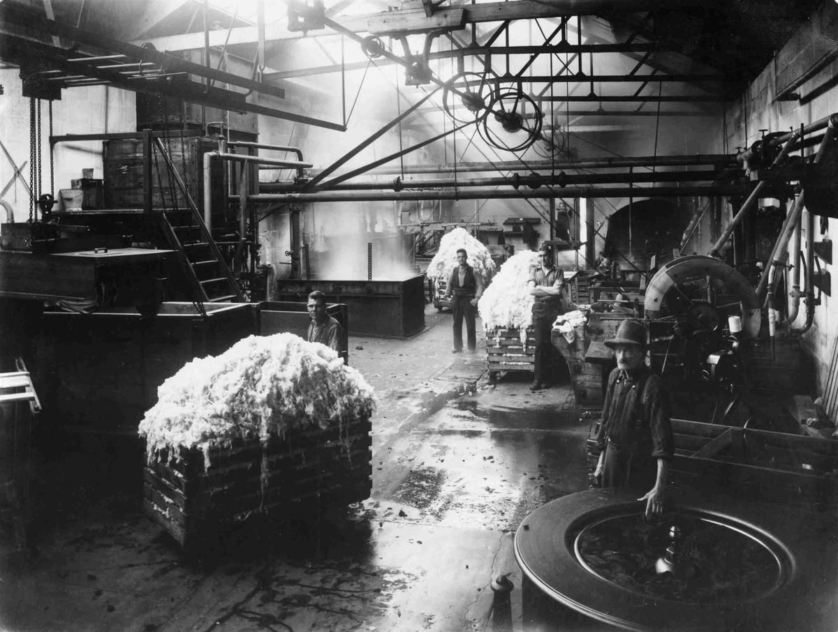 Wool Scour - Culture Waitaki