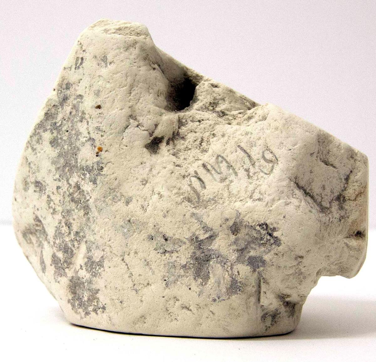 Diatomite - Culture Waitaki