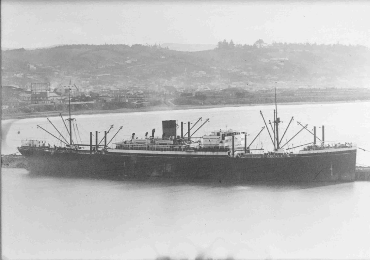 Oamaru Harbour - Culture Waitaki