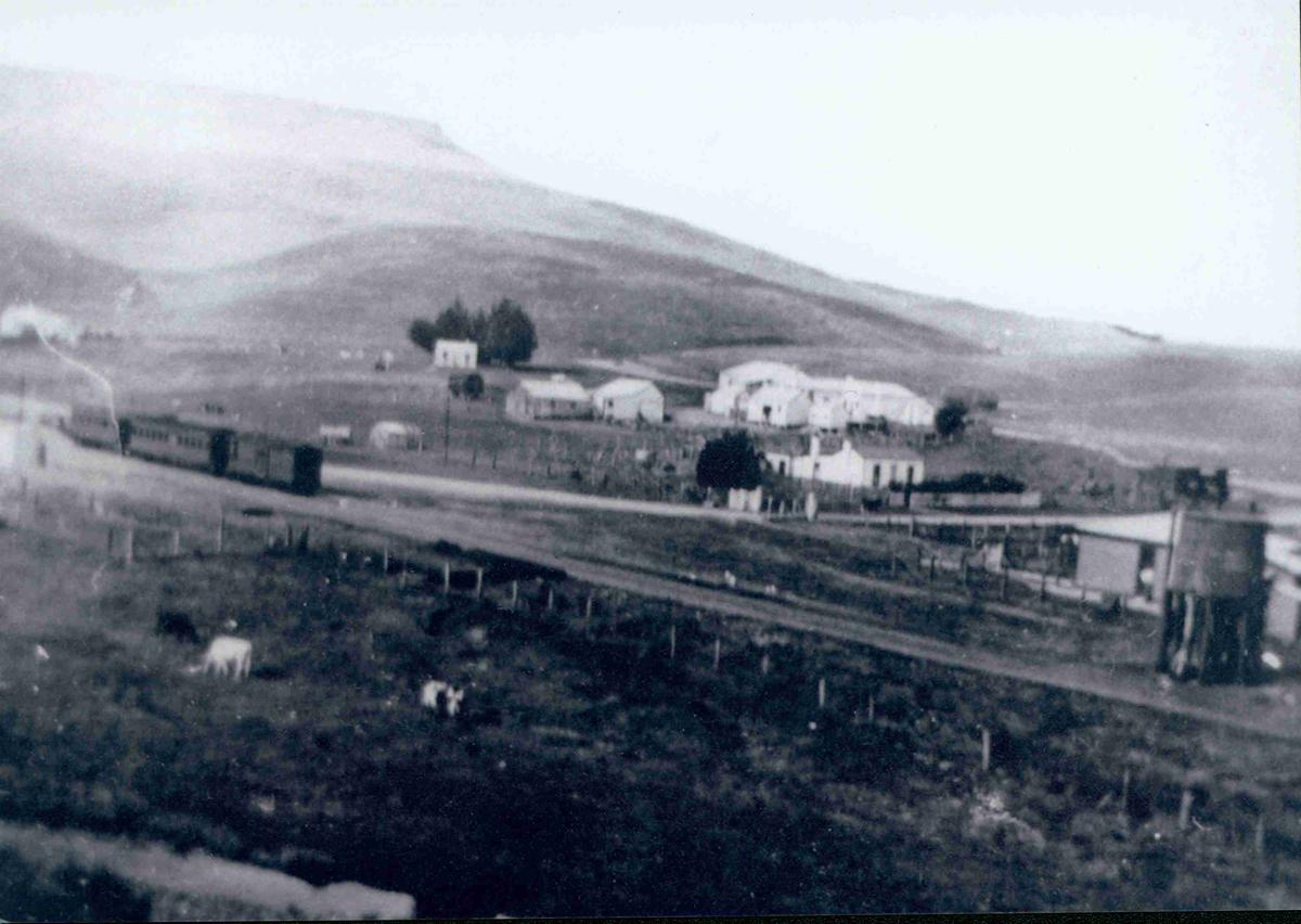 Train at Tokarahi - Culture Waitaki