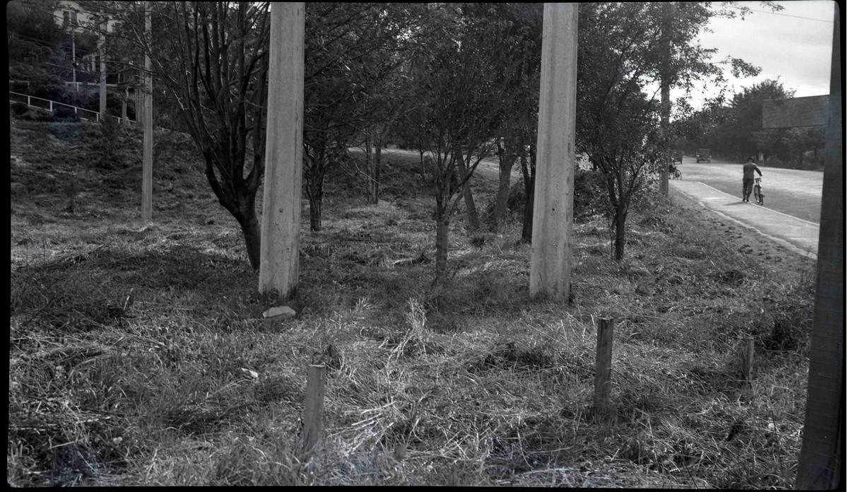 Garden of Memories site, corner Severn and Itchen Streets, Oamaru ...