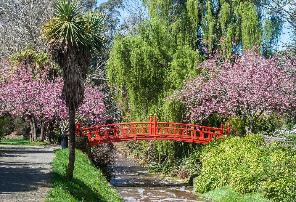 Japanese Red Bridge - Culture Waitaki